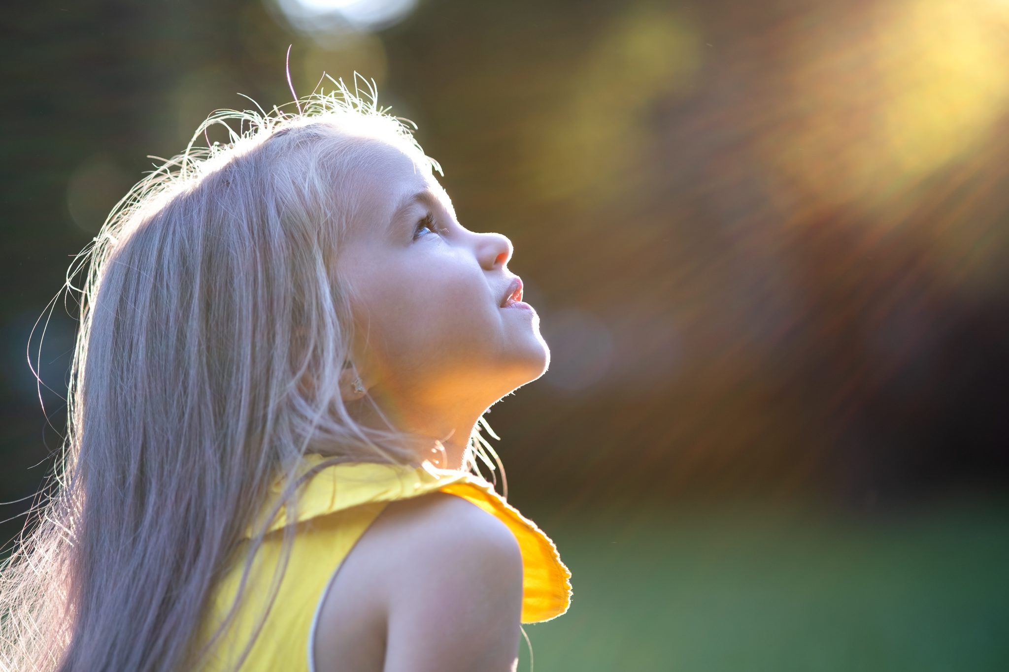 KWS Independent Insurance Services Inc. - Homeowners, Auto, Life ...